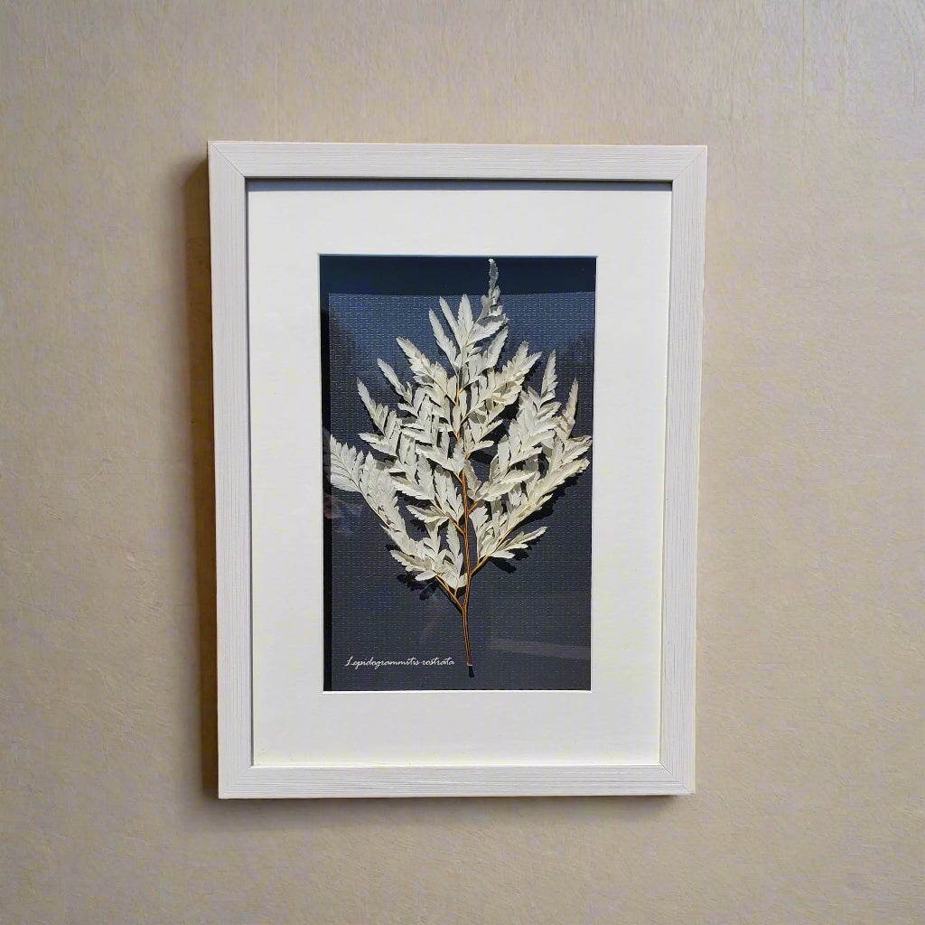 Botanical Shadow Box – Delicate Leaf (12x16in) – Ponder & Pun
